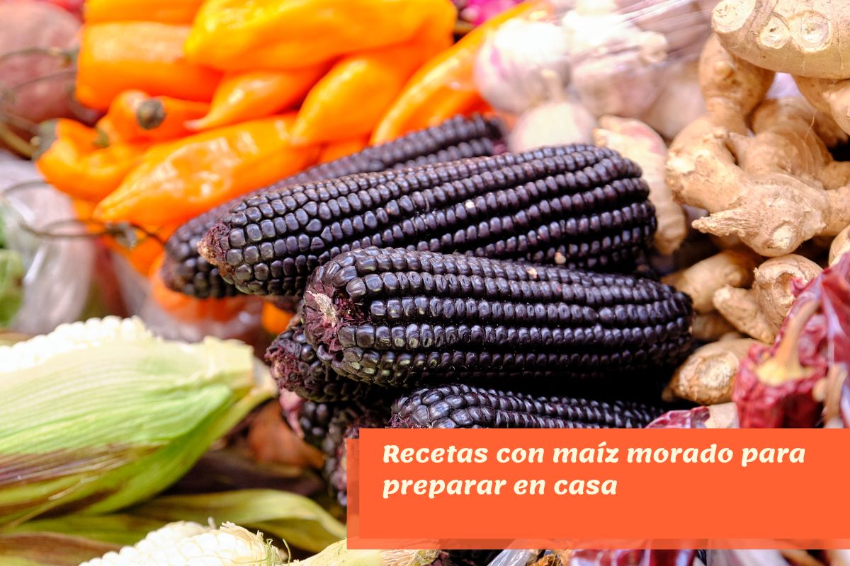 +10 deliciosas recetas con maíz morado»【2025】
